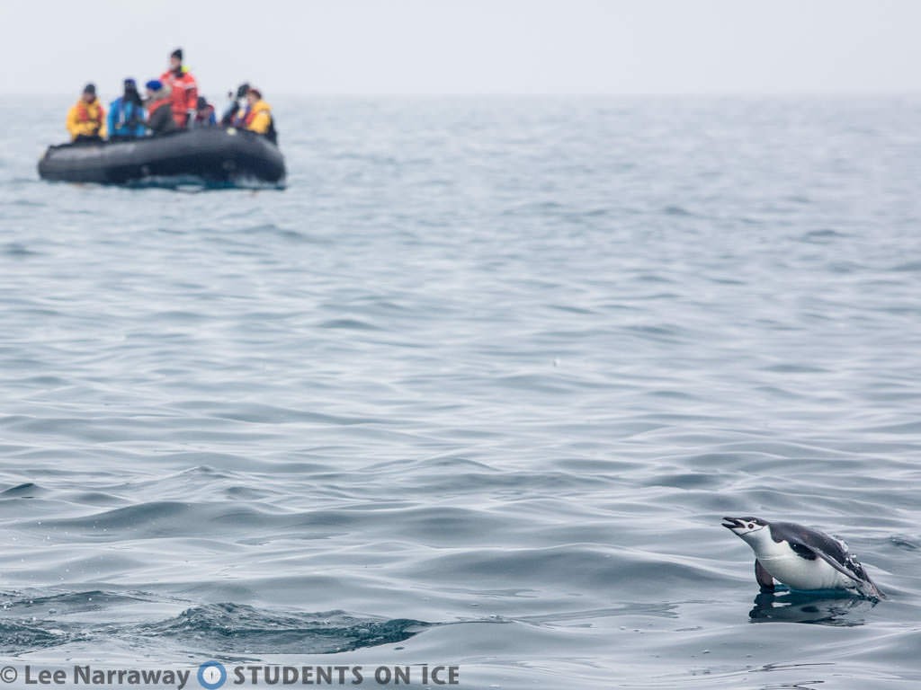 Students on Ice: Learning about the Artic - Brennan Sarich